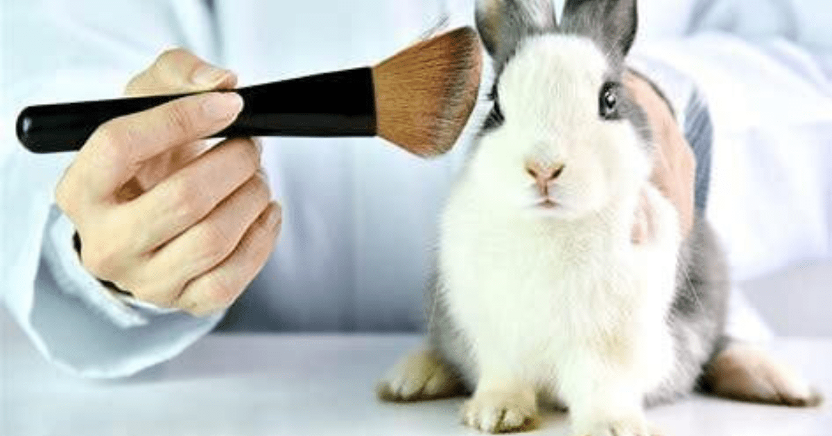 Animal testing for cosmetics to restart in U.K.